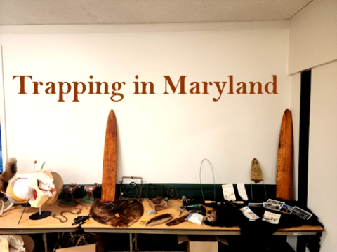 New Trapping Heritage Display at Camp Baker Maryland